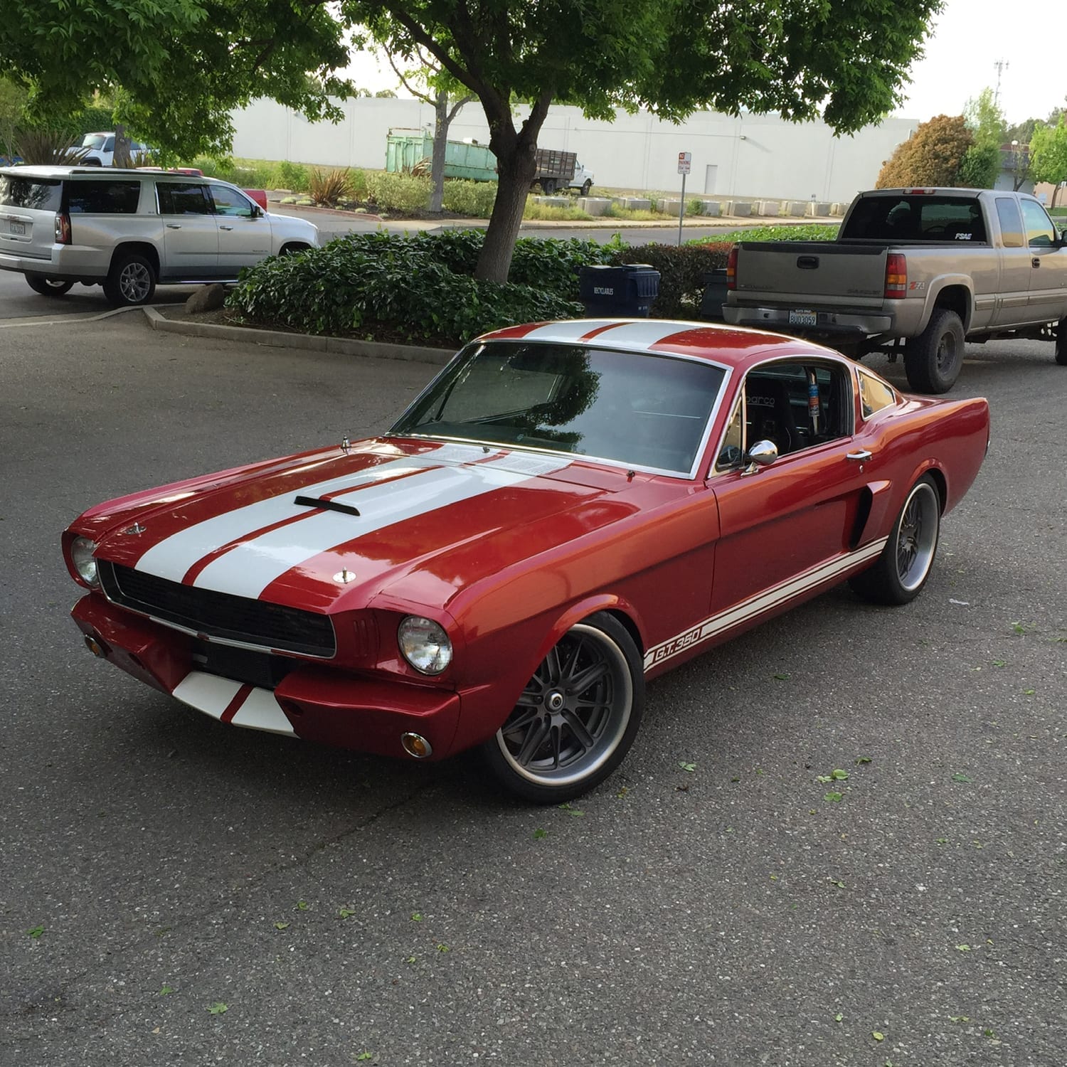 The Mustang Blacktop Package - Mike Maier Inc